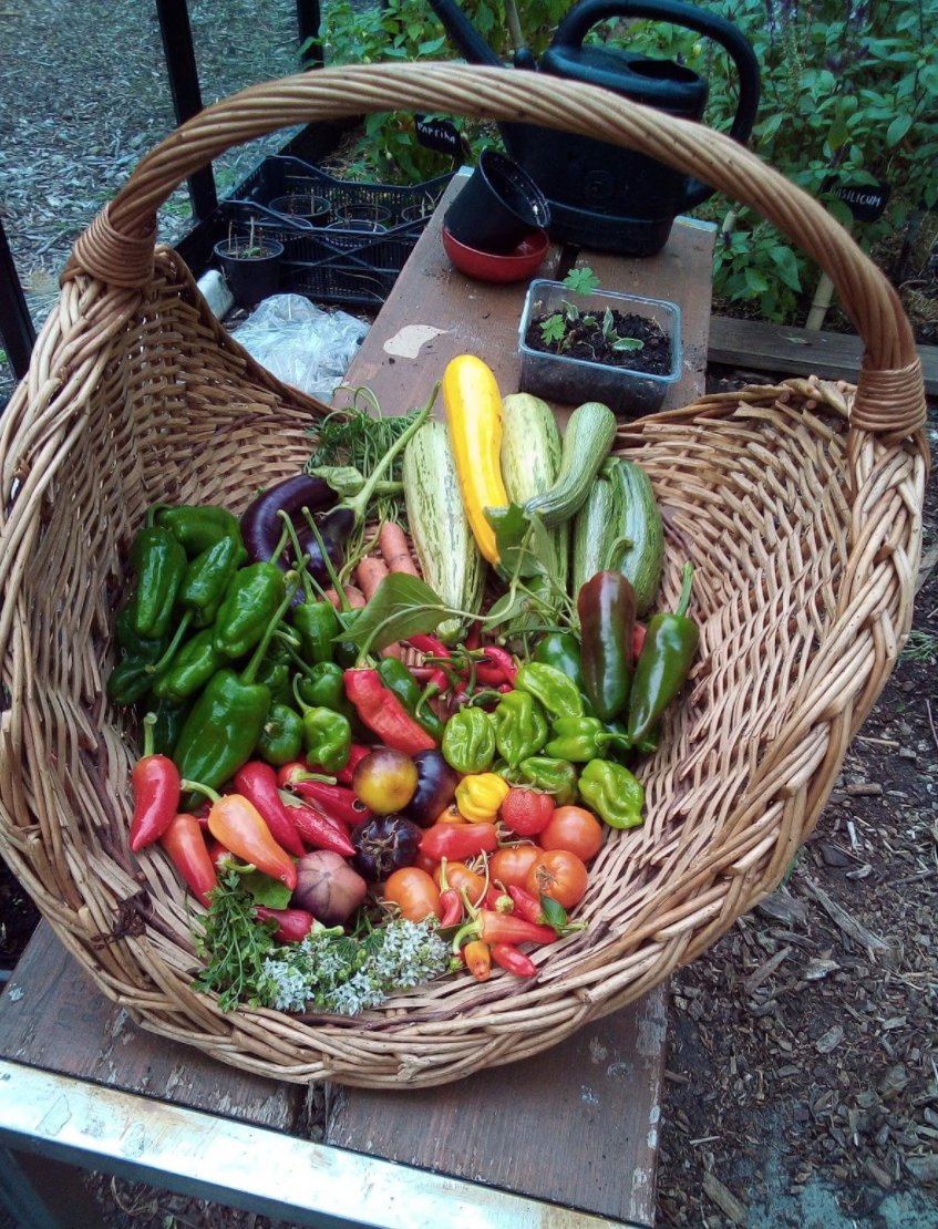 Grow Your Own Urban Edible Garden / Online 2022 — Cityplot