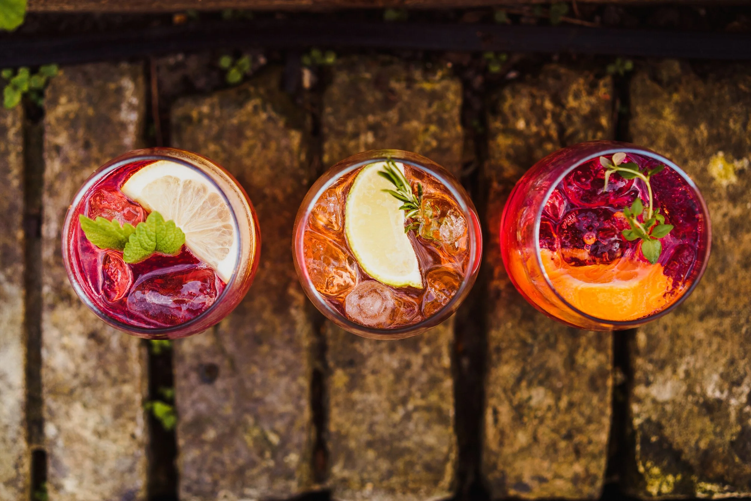 Botanical Garden Bar & Kitchen — curious directive