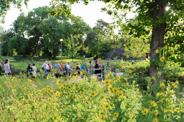 Chicago Parks Foundation