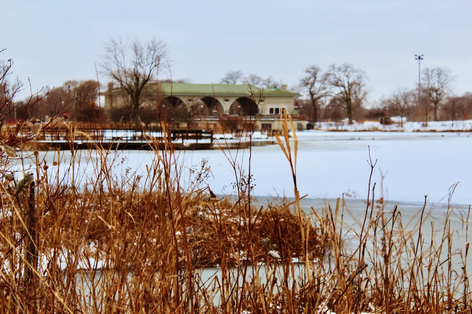Chicago Parks Foundation