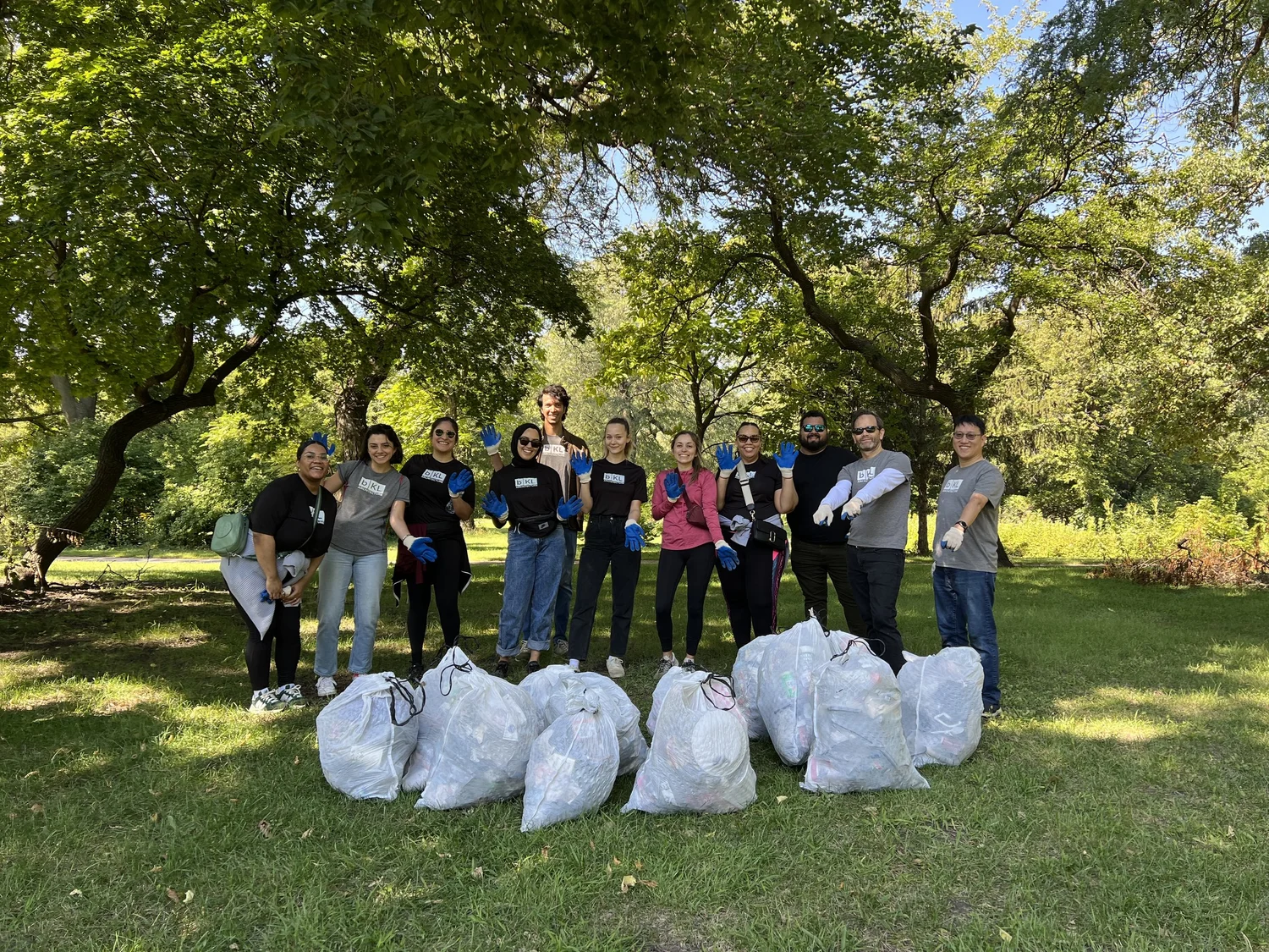 Pitch In For The Parks — Chicago Parks Foundation