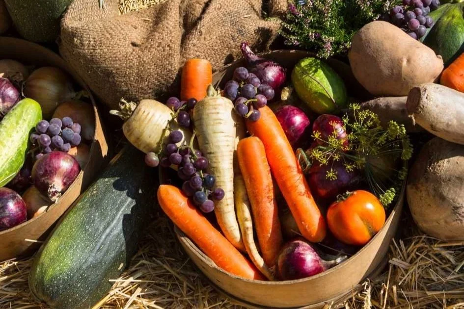 A Seasonal Fall Harvest Guide: Eating with the Seasons