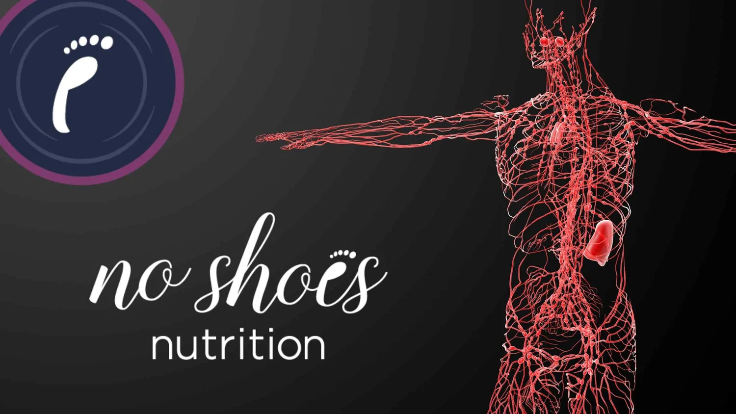 Exploring the Gut-Lymph Connection: Understanding the Link Between Gut ...