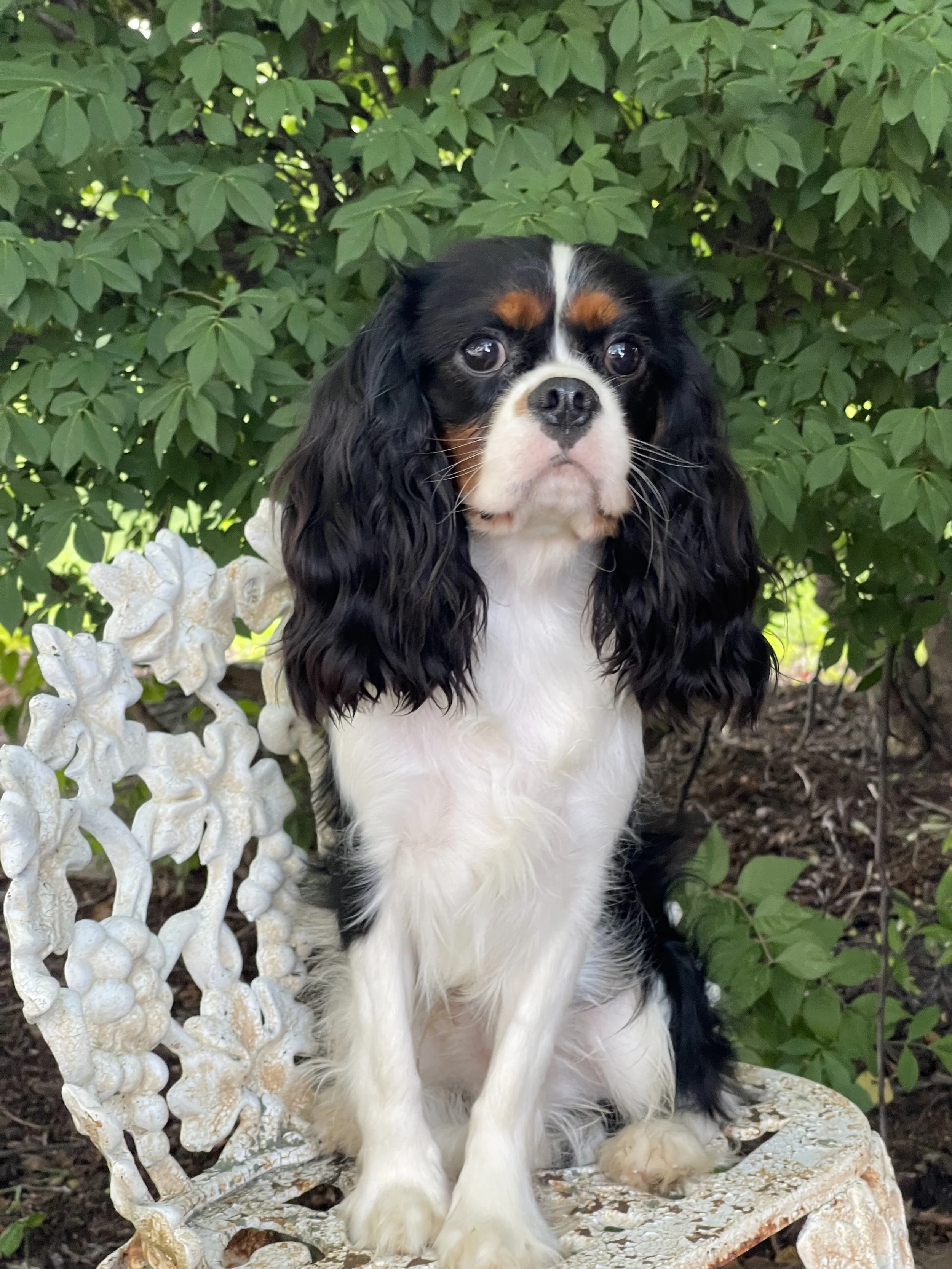 Males — Briar Patch Ranch for Kids