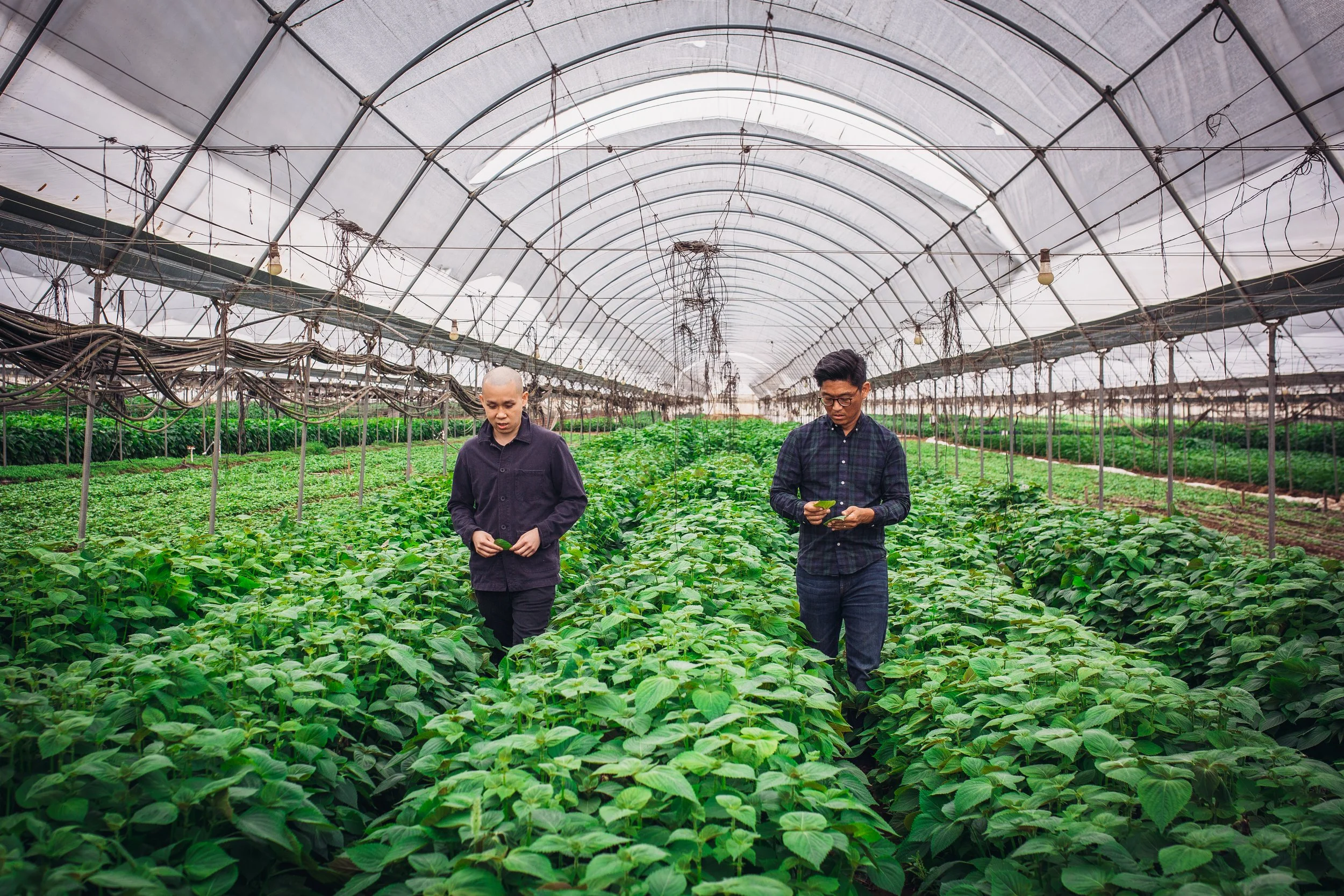 production — Krista Simmons