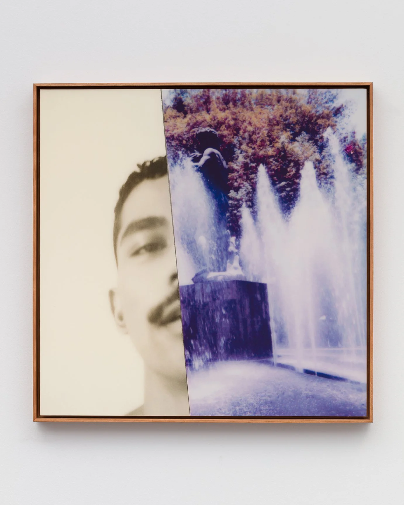 Purchase — Stuart Sandford