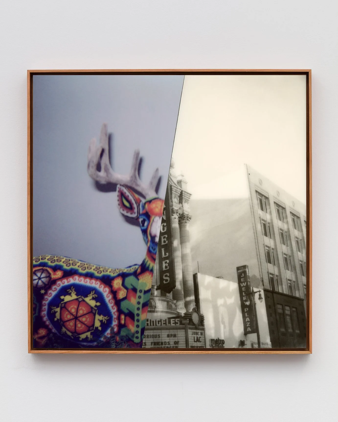 Purchase — Stuart Sandford