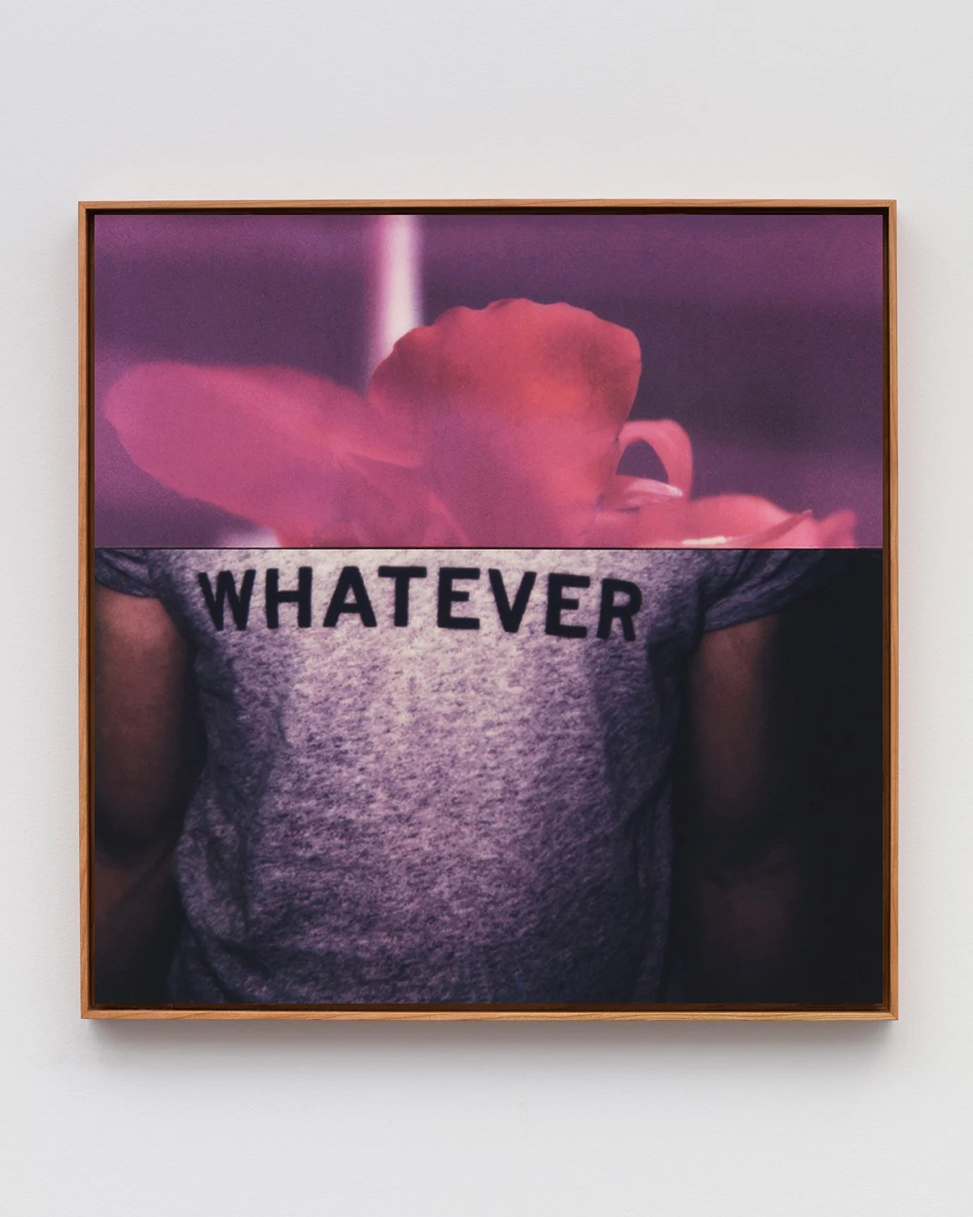 Purchase — Stuart Sandford