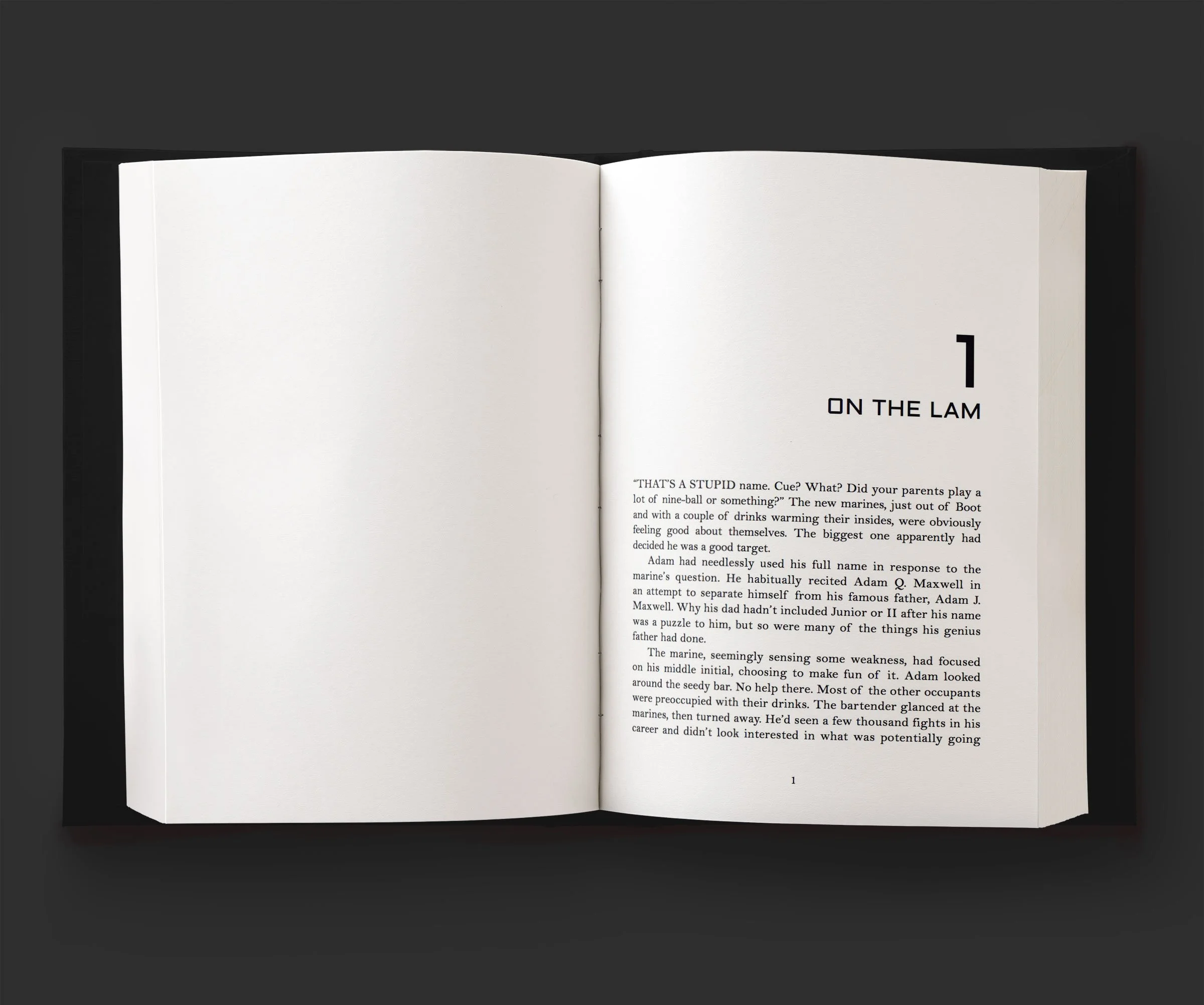 Interior Book Formatting and Design — The Illustrated Author Design ...