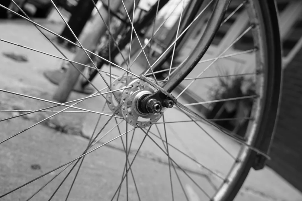 Elements of Photography: Line — Get Fokus'd Productions