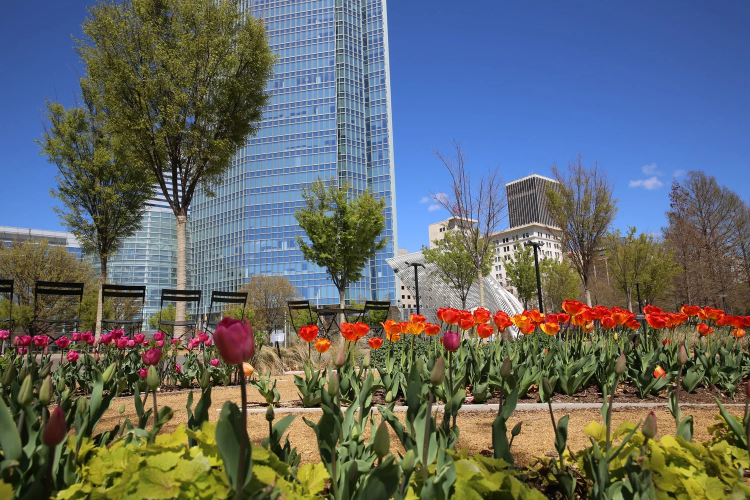 Partners — Oklahoma Municipal League