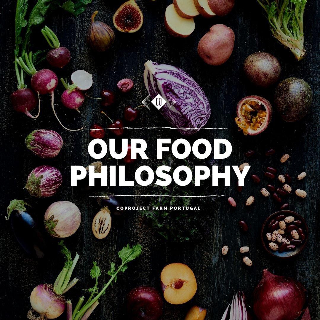 Ideas Hub — CO Project Farm