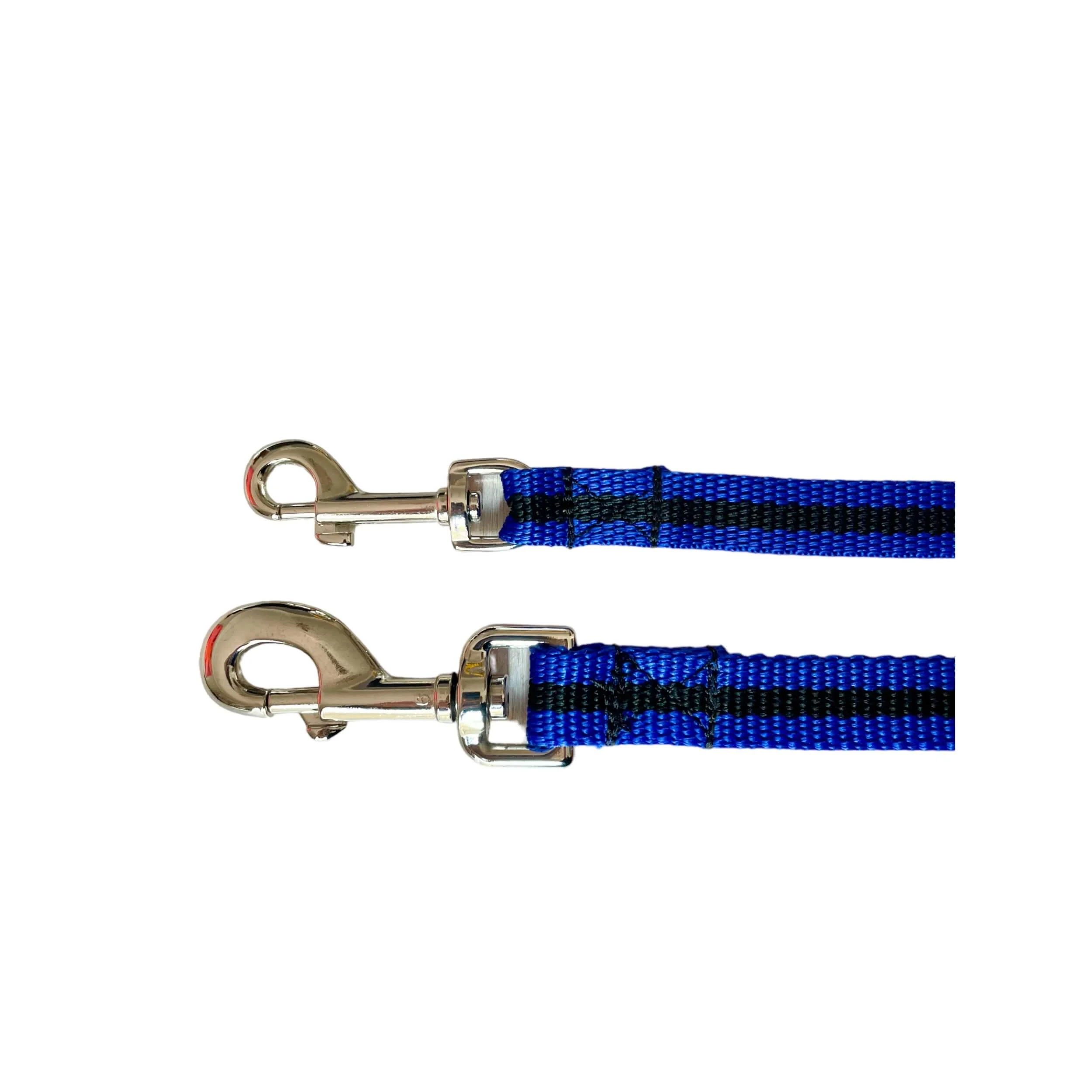 Collars and leads — Reg&Bob