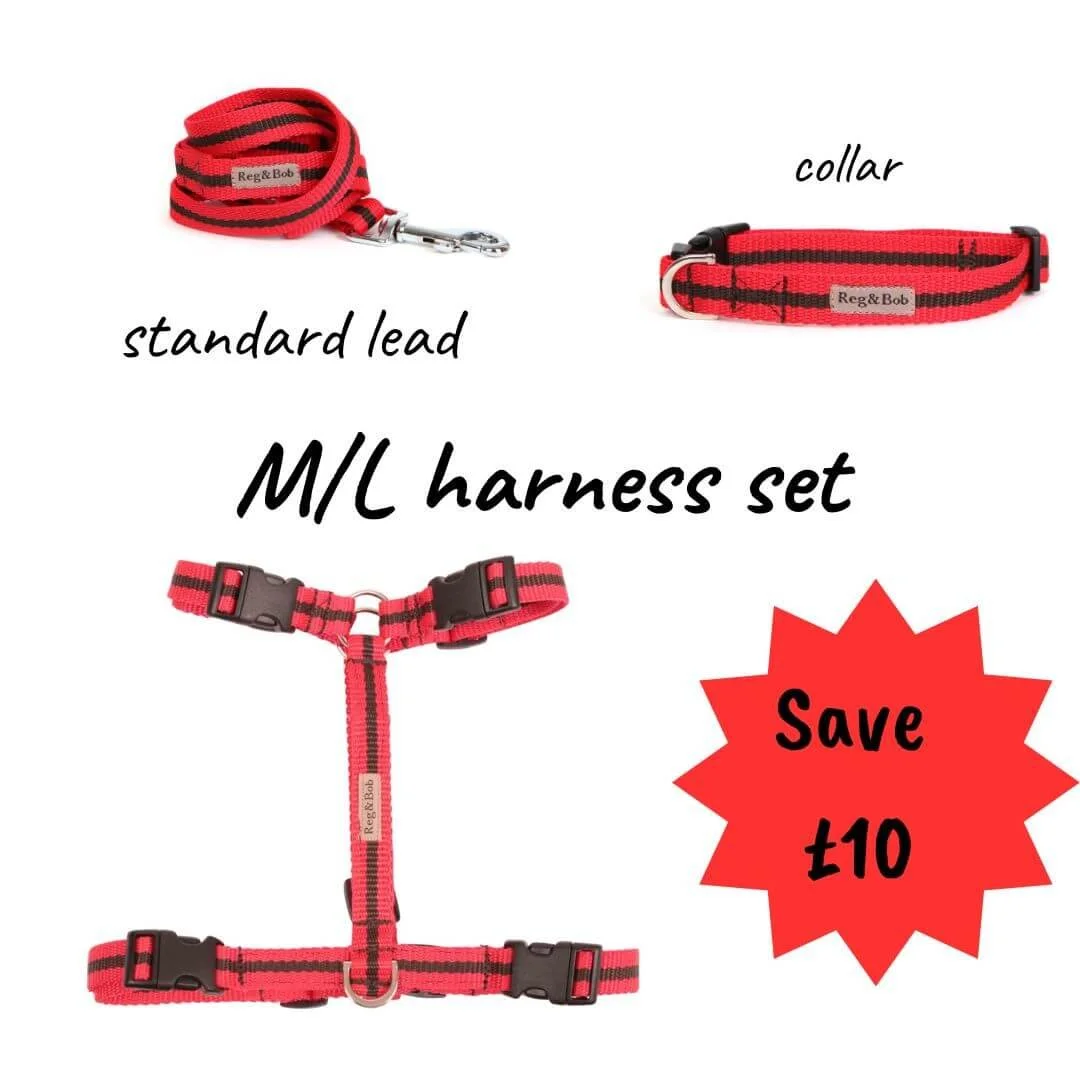 Harnesses — Reg&Bob