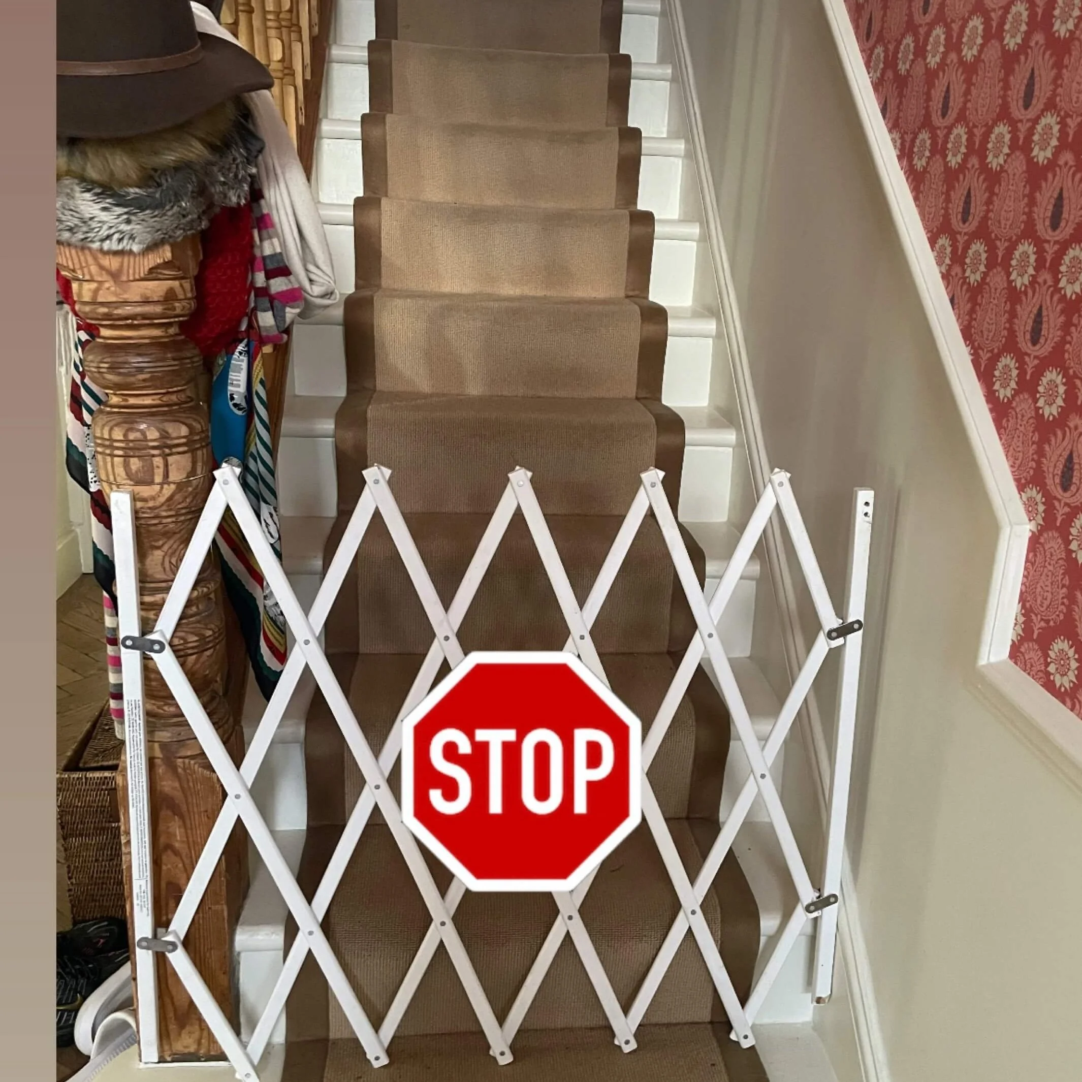 Easy wins around the home to help with Bob’s arthritis diagnosis — Reg&Bob