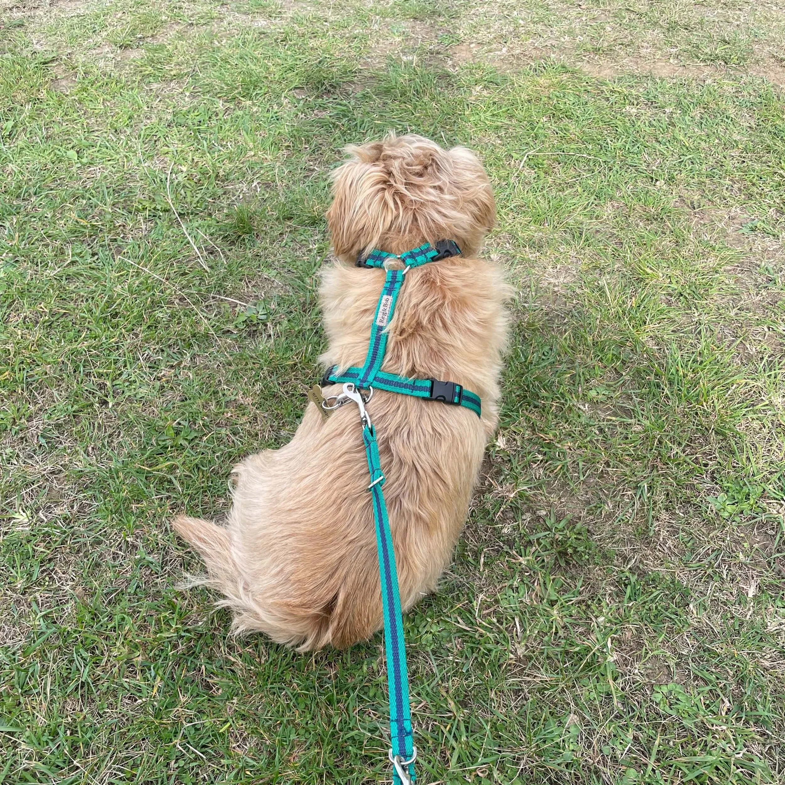 Easy wins around the home to help with Bob’s arthritis diagnosis — Reg&Bob
