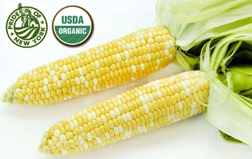 Kitchen Talk — Belair Produce Inc.