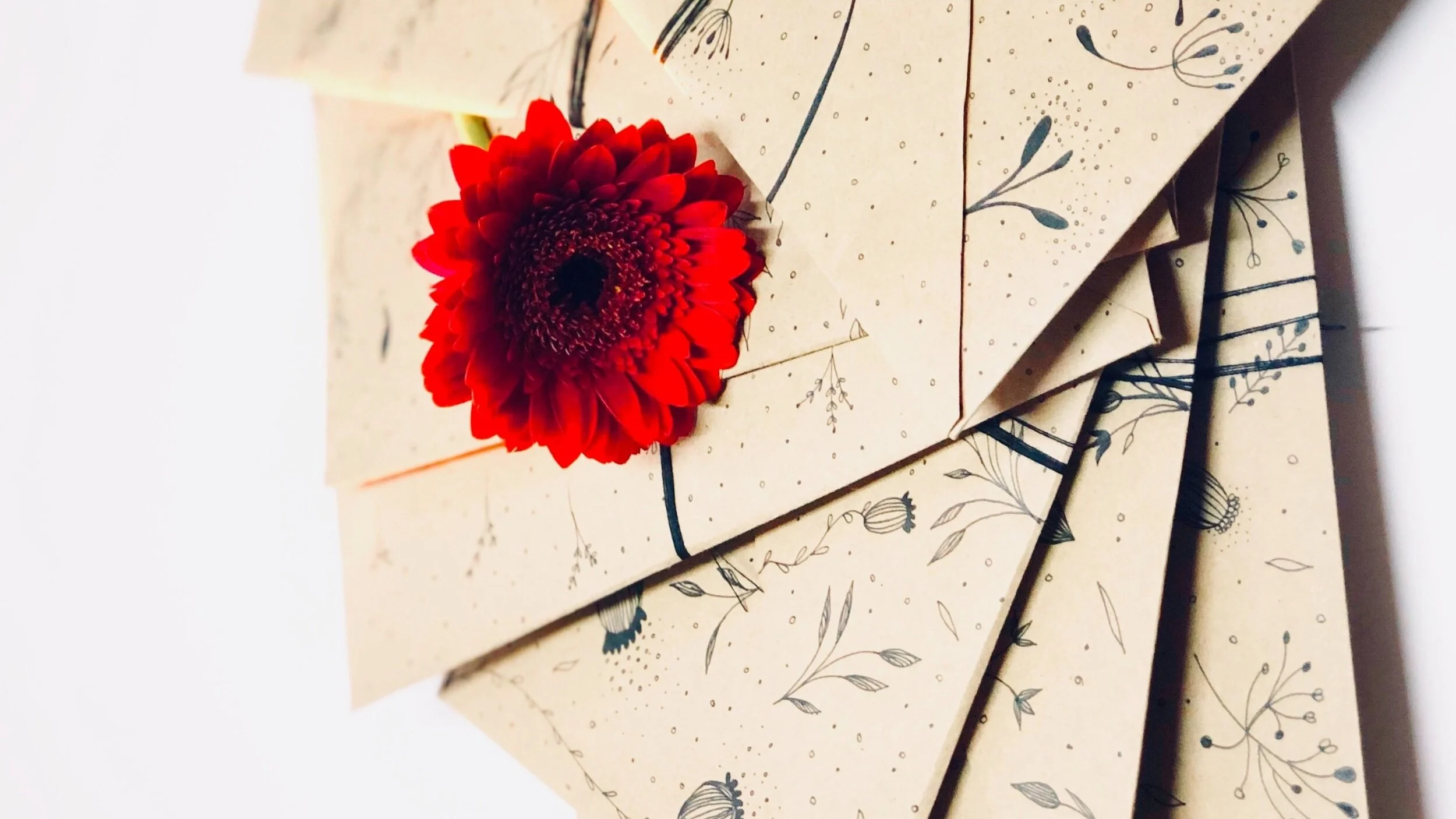 Cards For Seniors — Gifts For Seniors