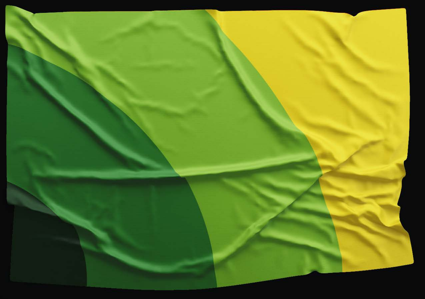 Mental Health Flag — The Pete Foundation