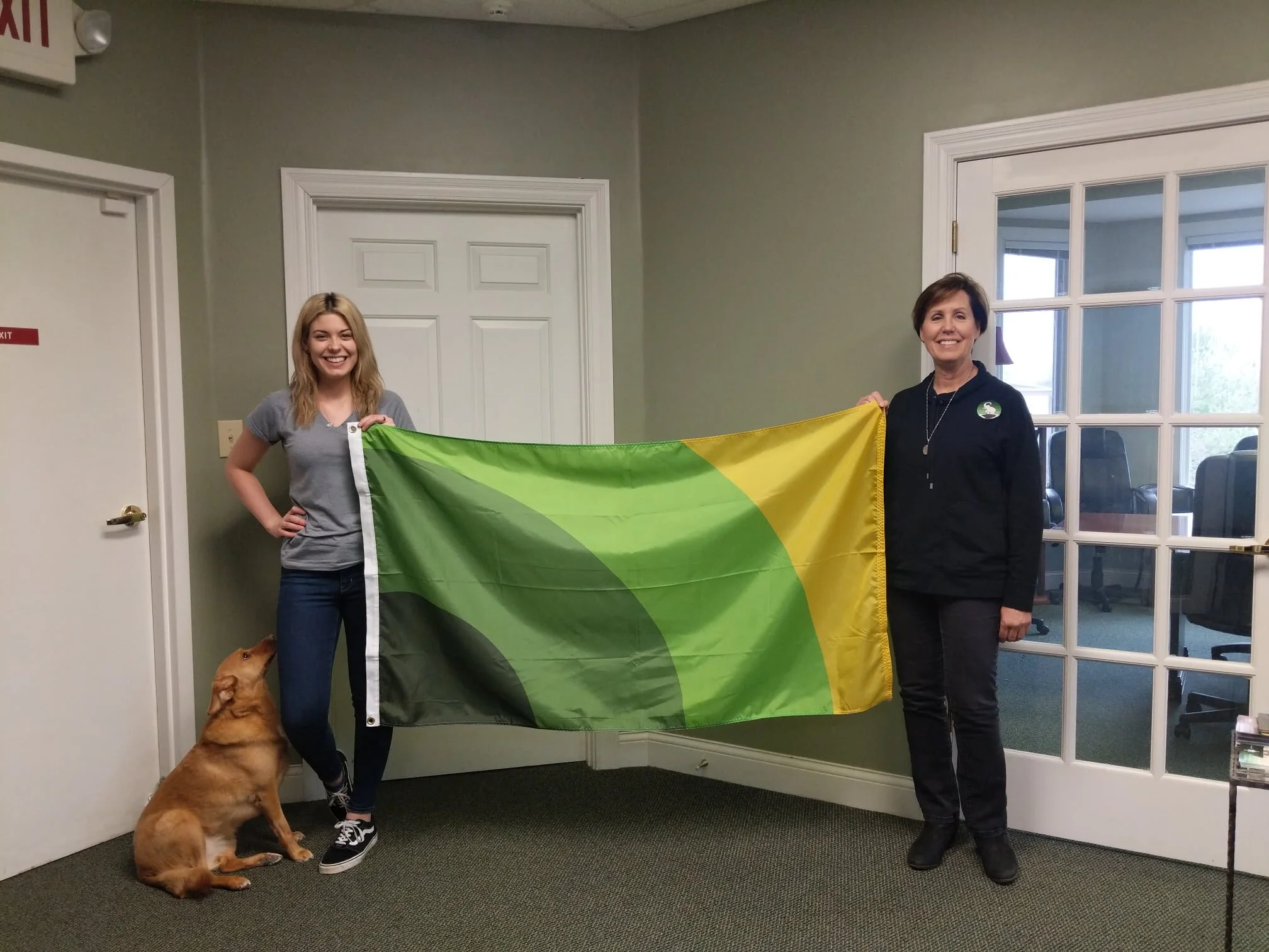 Mental Health Flag — The Pete Foundation