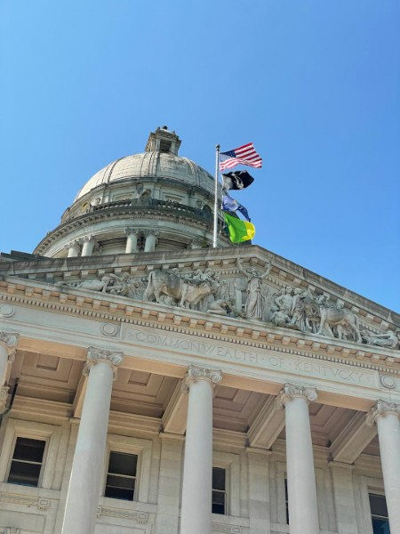 The Mental Health Flag — The Pete Foundation