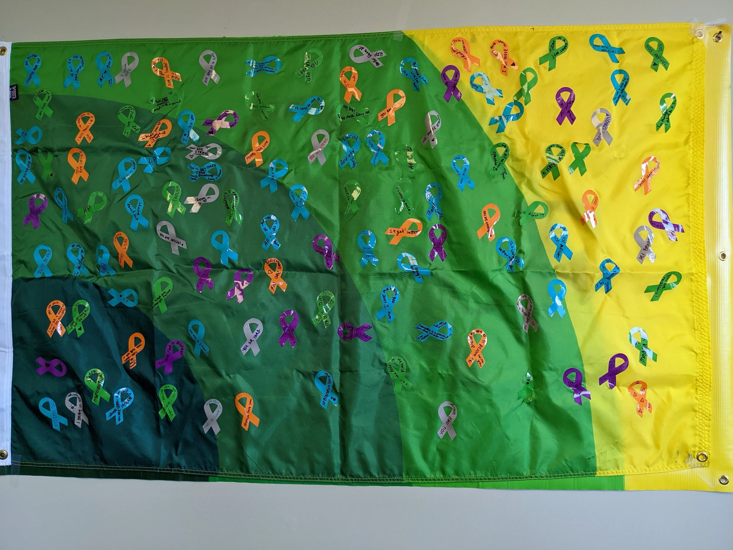The Mental Health Flag — The Pete Foundation