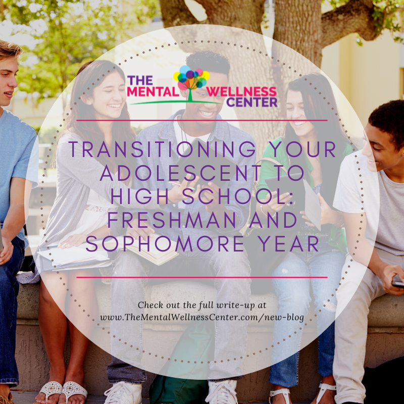 Transitioning your Adolescent to High School: Freshman and Sophomore ...