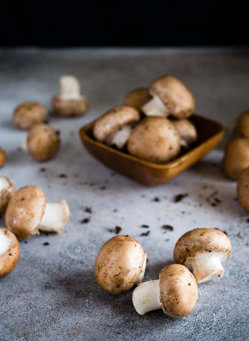 Plant-based menus for every season — Stone Pier Press