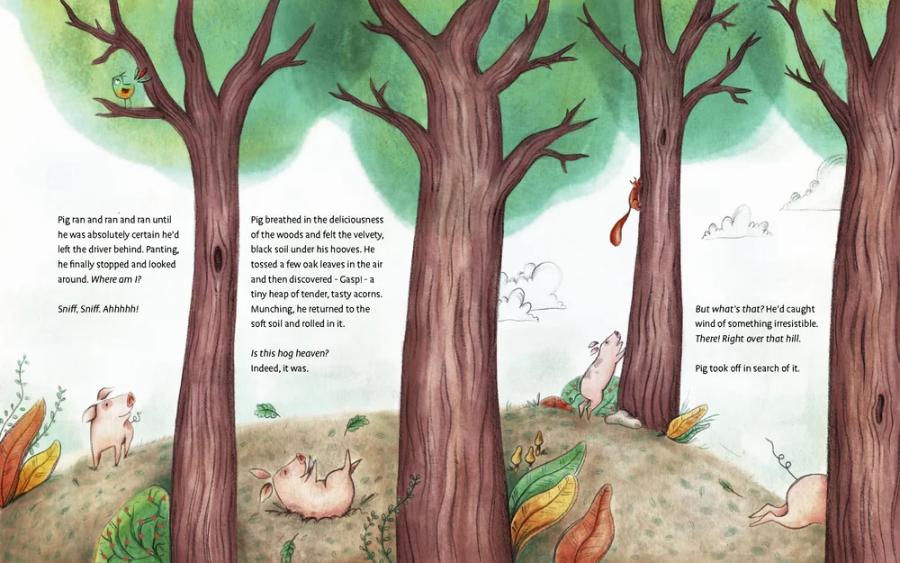 Sprig the Rescue Pig — Stone Pier Press