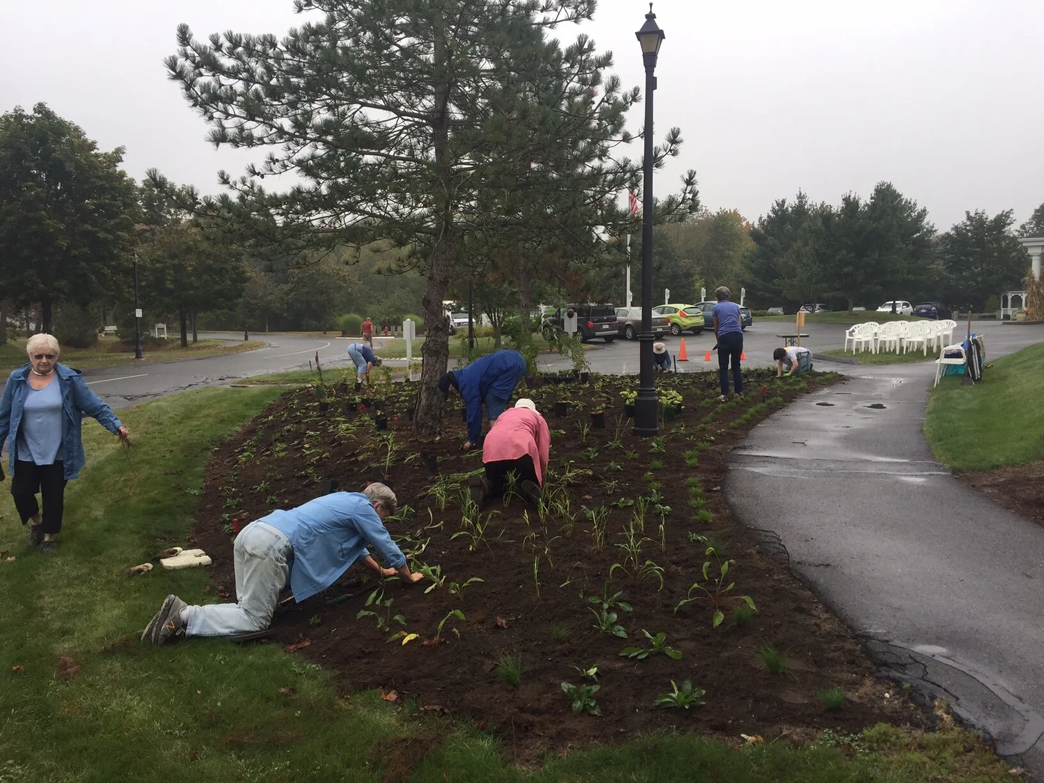 Planting a meadow garden - before and after — Stone Pier Press