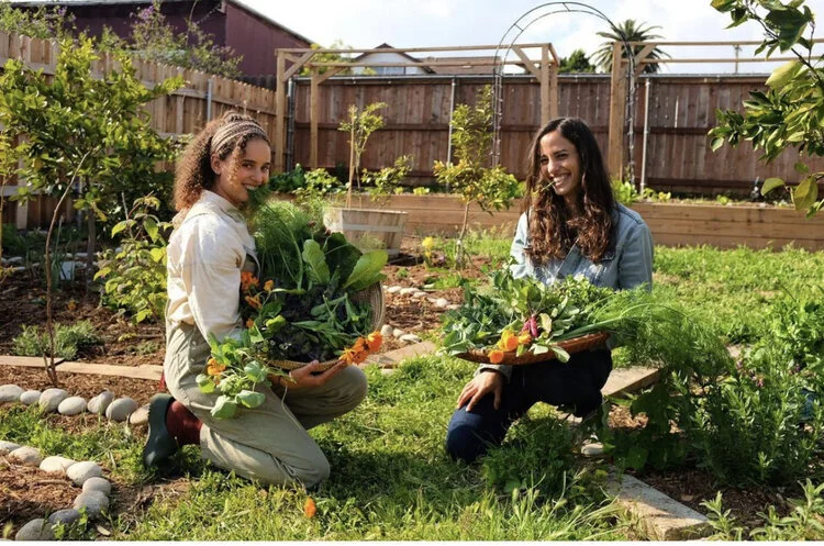 The glorious rise of food forests — Stone Pier Press