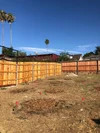 The glorious rise of food forests — Stone Pier Press