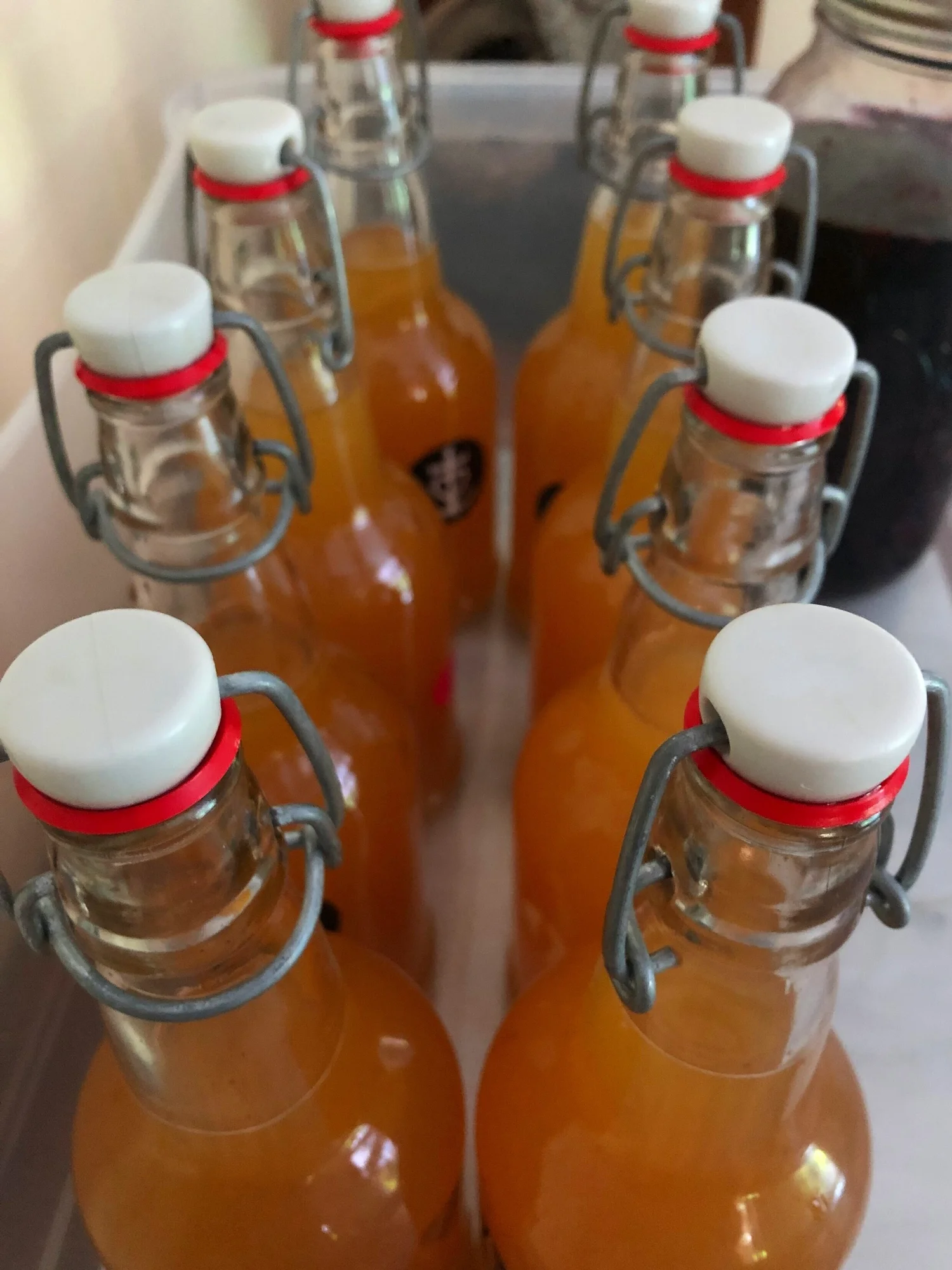 Brewing kombucha at home — Stone Pier Press