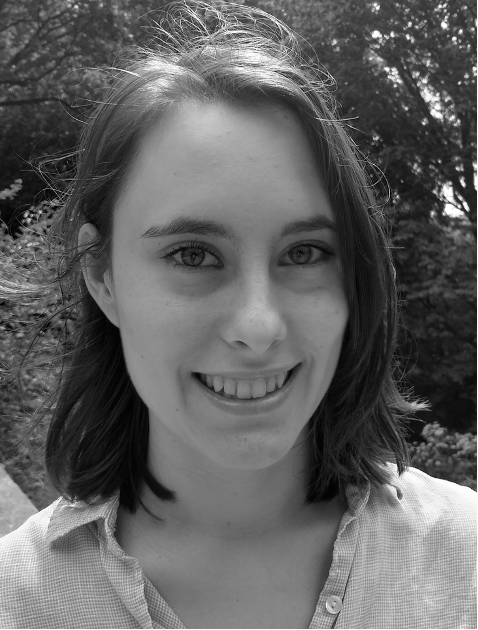 News fellowship — Stone Pier Press