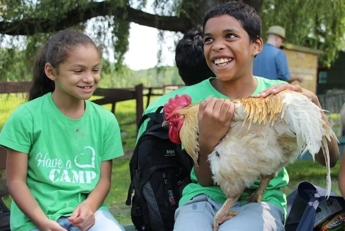 Can empathy for animals be taught? — Stone Pier Press