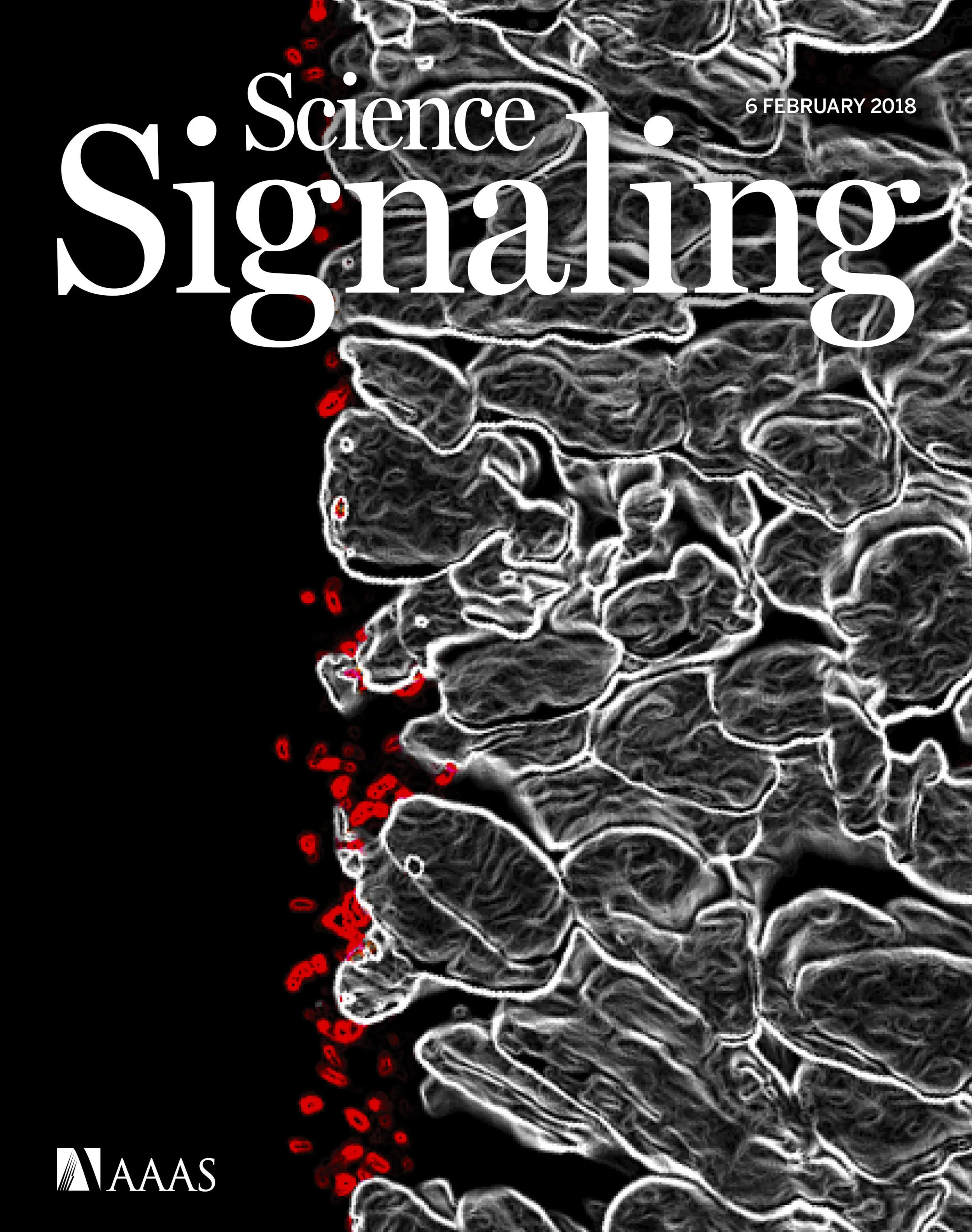 New Hedgehog signaling paper published in Science Signaling! — rohatgi lab
