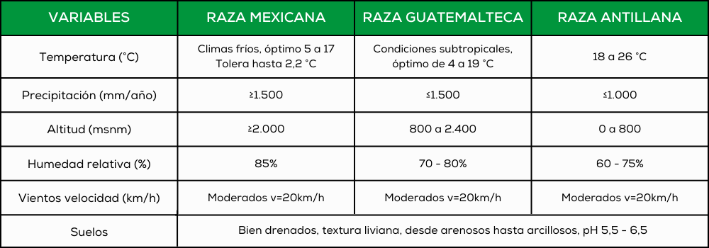 Ficha técnica Cultivo de Aguacate — Abonamos
