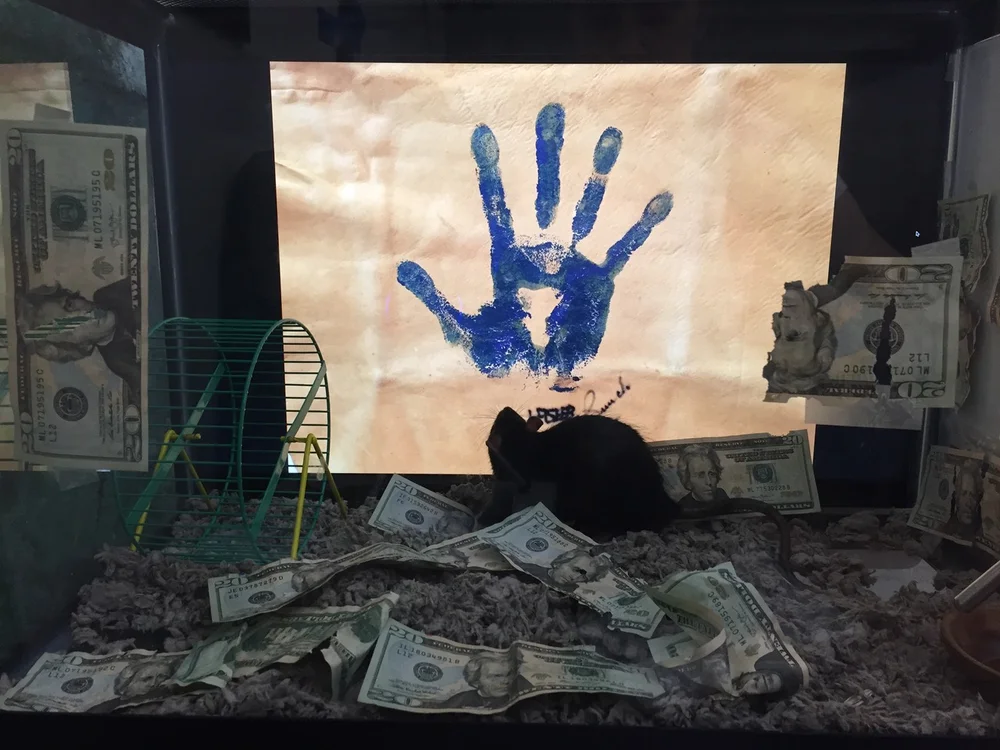 HERO — Fawn Rogers