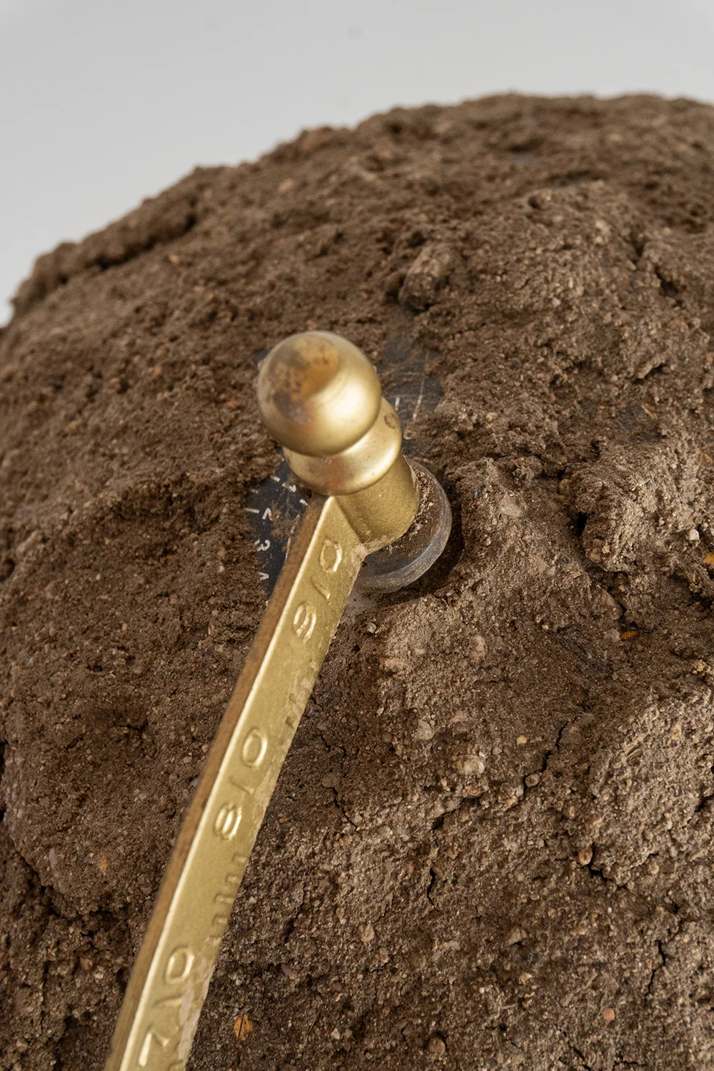 Fawn Rogers Art Artist Paintings Sculpture Installation Gallery Museum ...