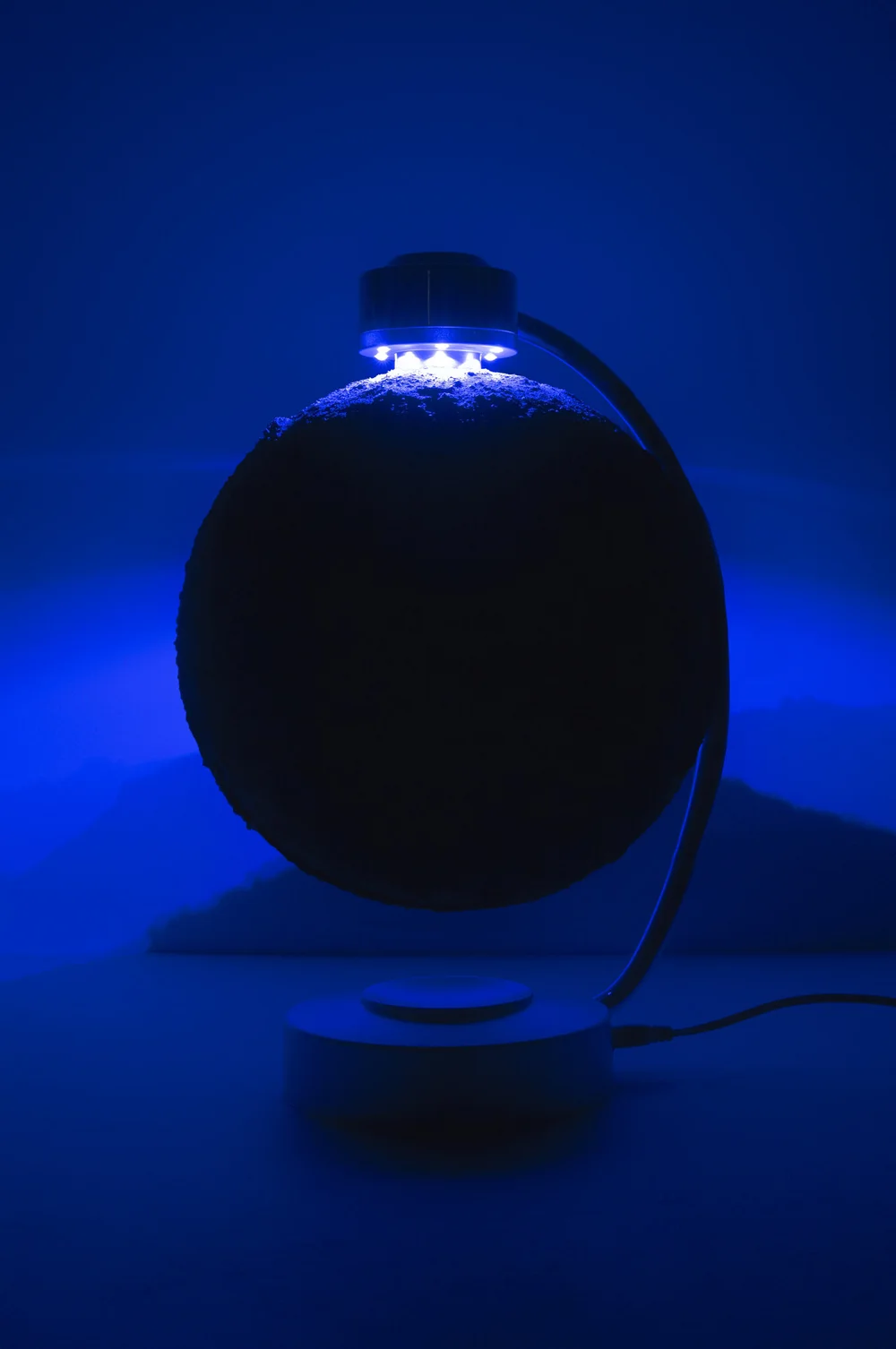 Fawn Rogers Art Artist Paintings Sculpture Installation Gallery Museum ...