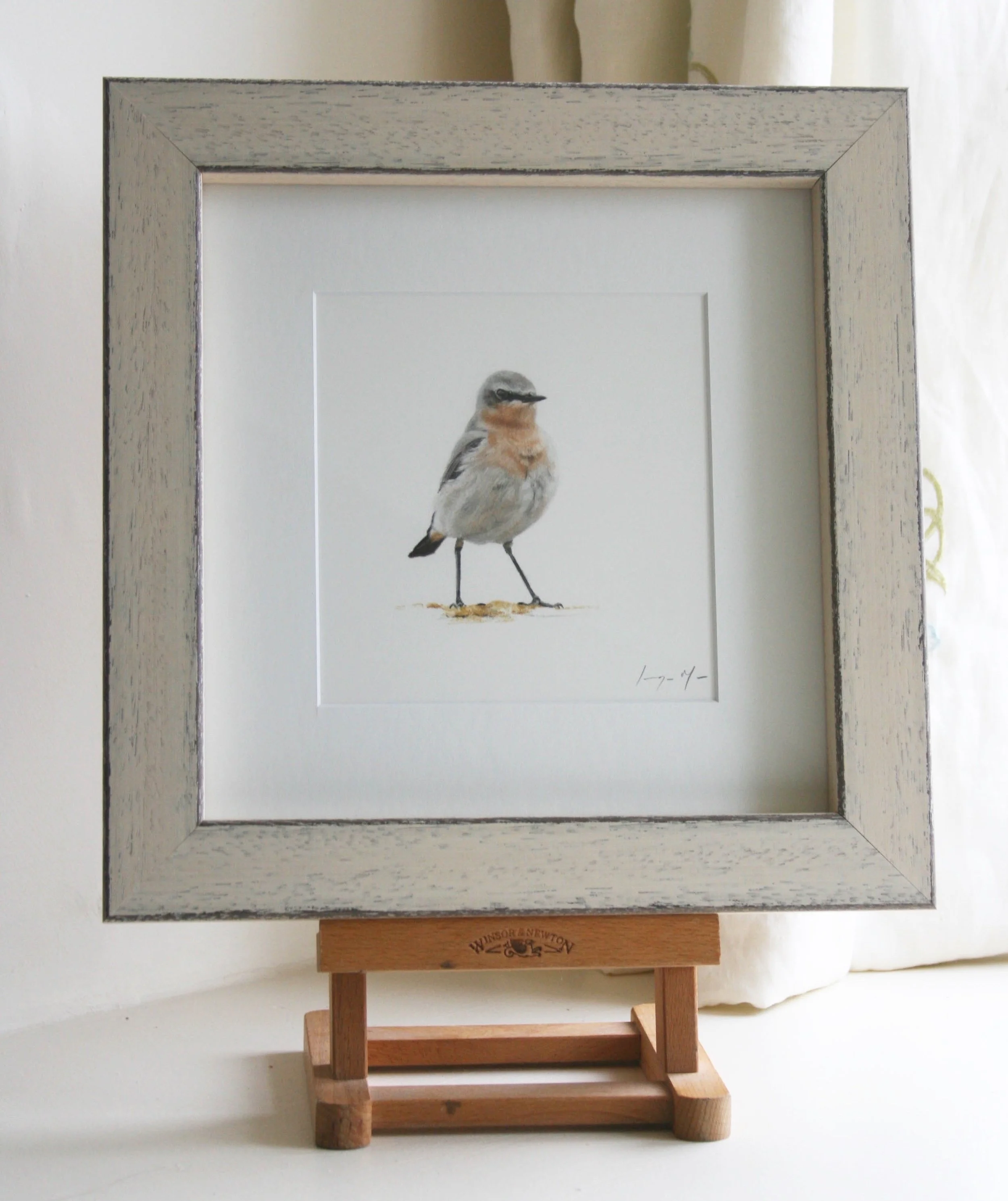 Imogen Man | Animal Artist | Animal Portraits | Artwork