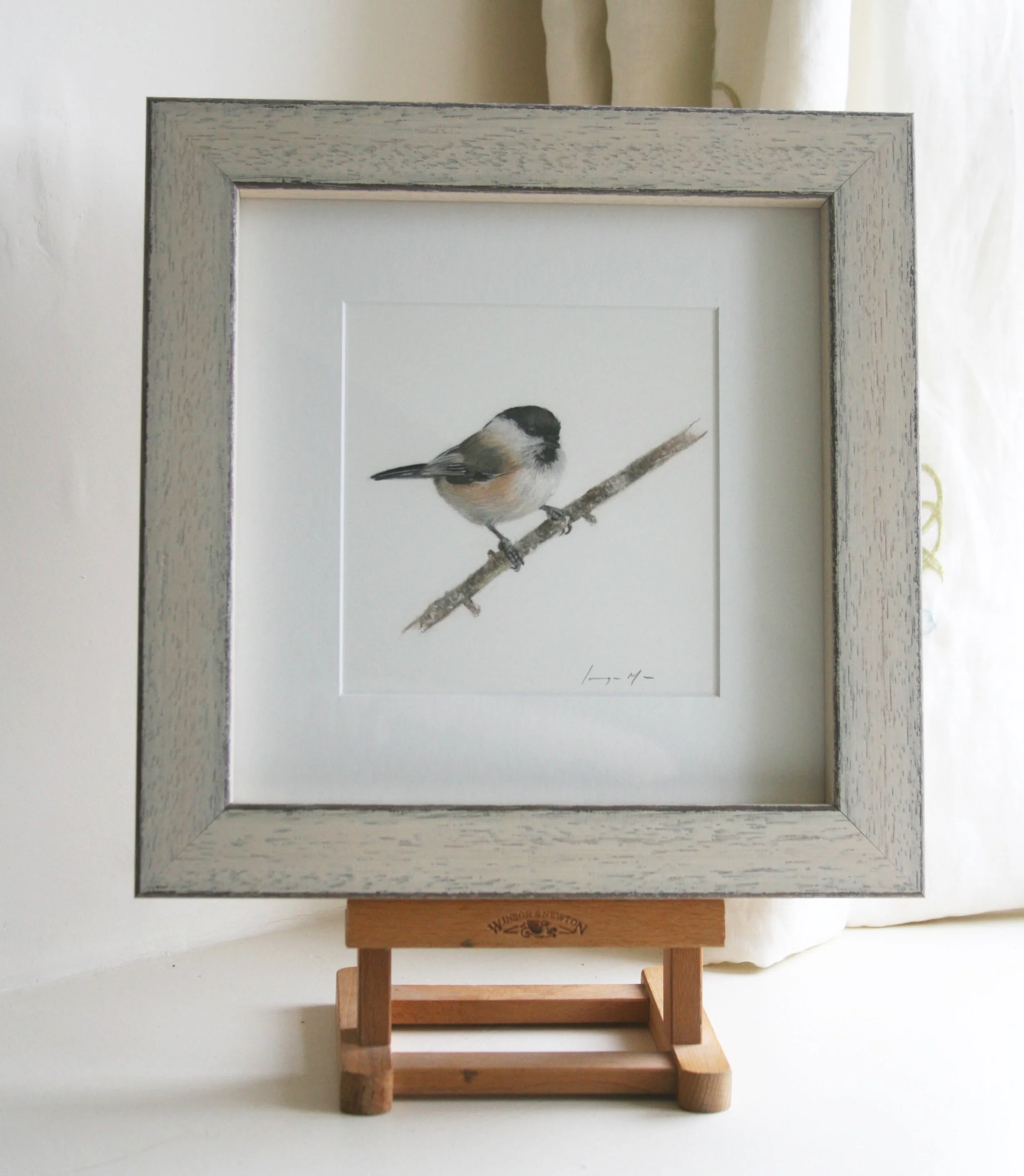 Imogen Man | Animal Artist | Animal Portraits | Artwork