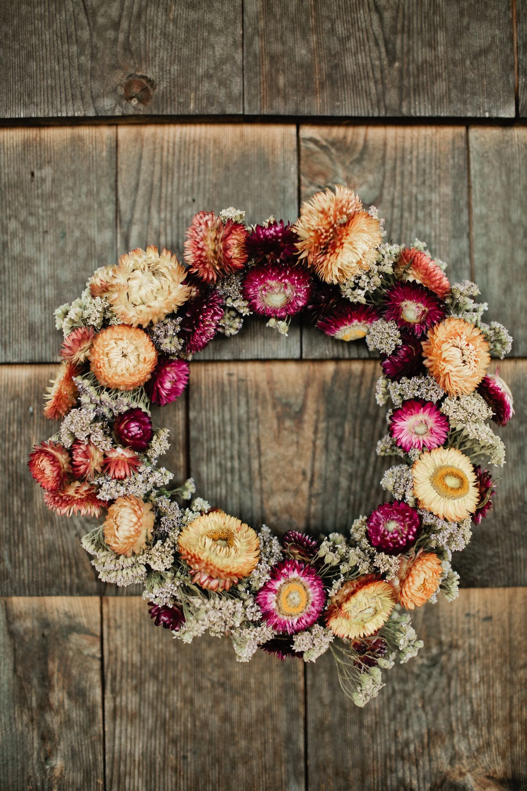 Dried Flower Care — Flywheel Flowers