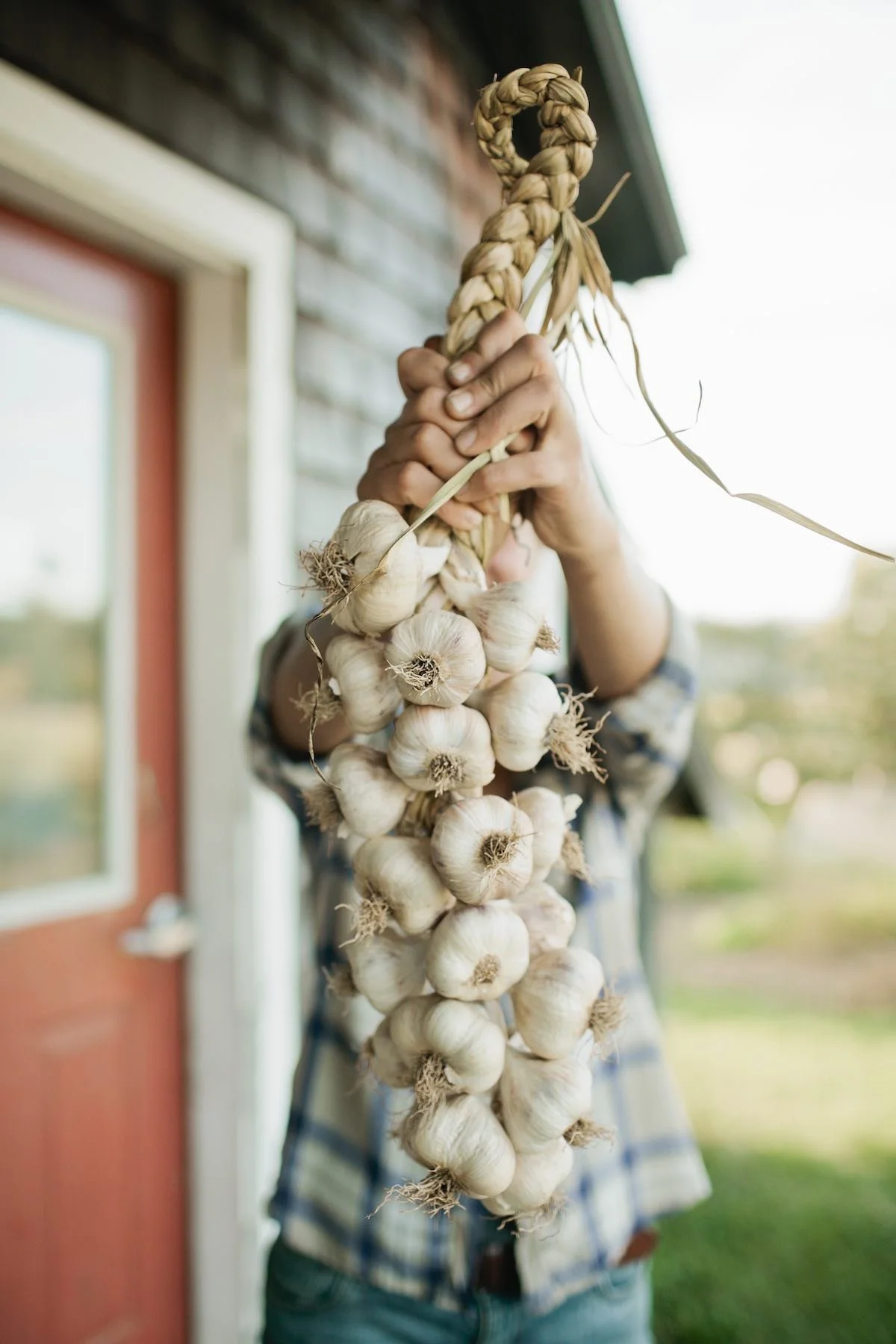 Dried Flower Care — Flywheel Flowers
