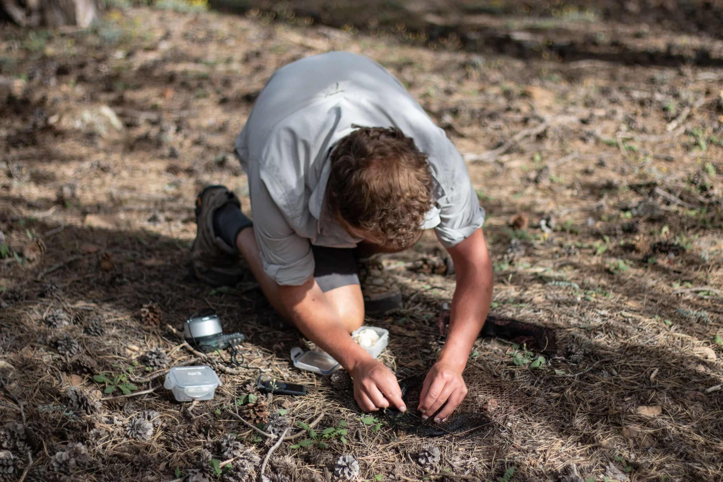 people & process — Molly Wilders