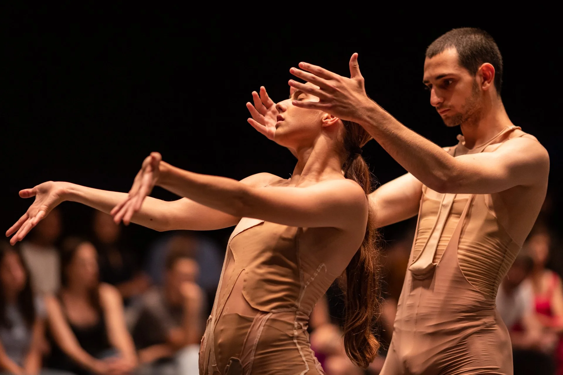 Upcoming — CÉSAR BRODERMANN