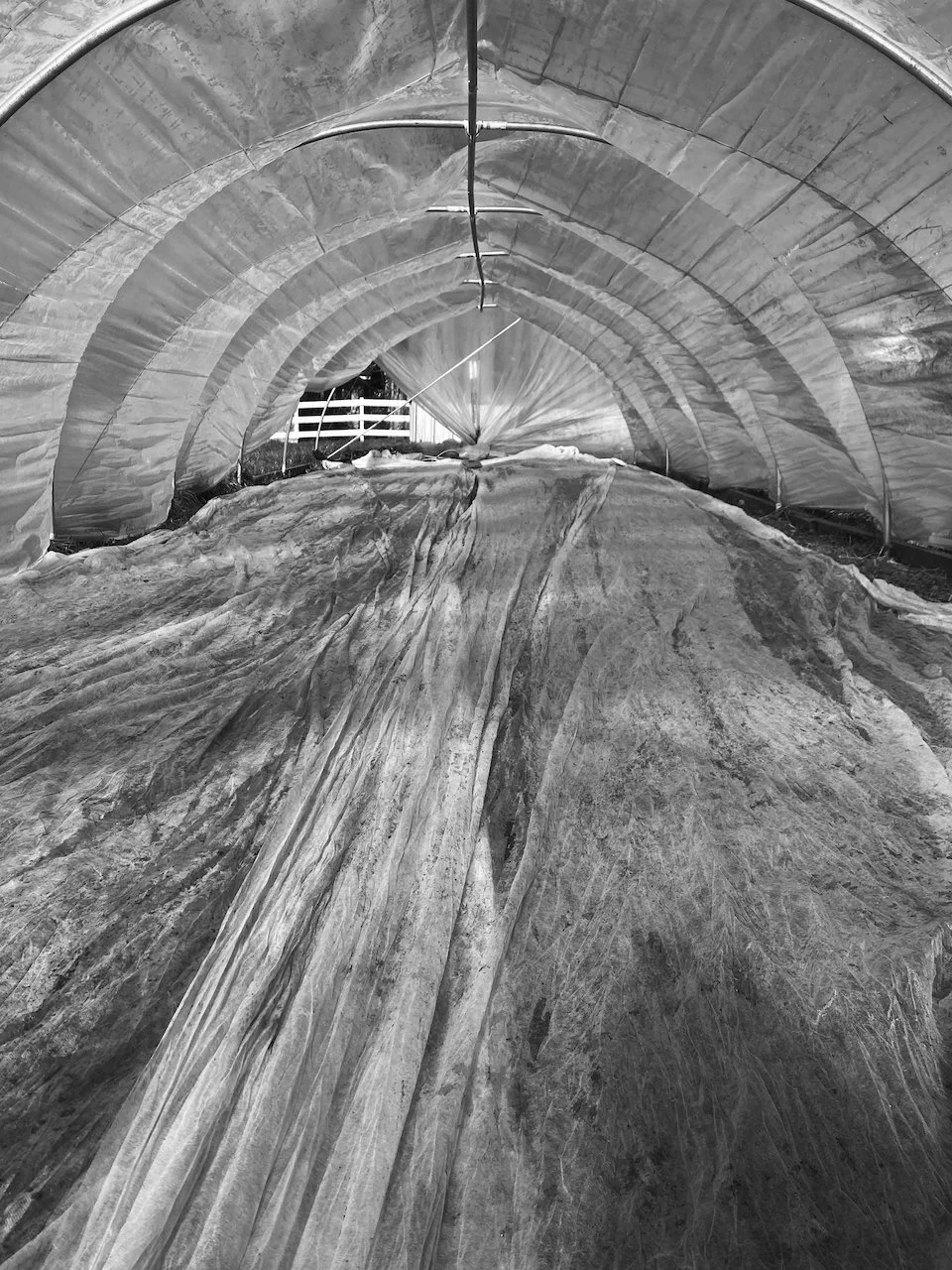 Writing in Winter — Orchard Kitchen — Whidbey Island