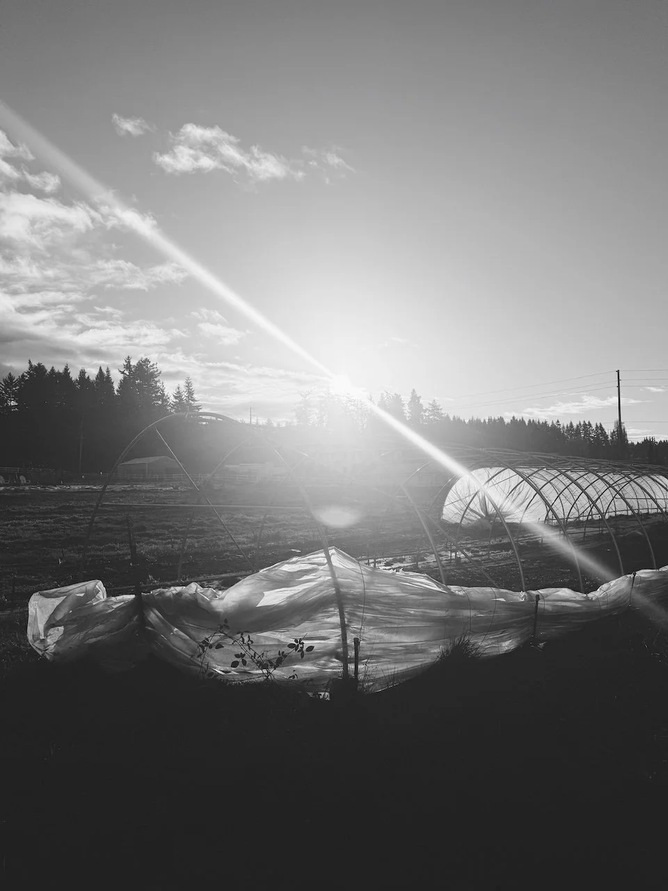 Writing in Winter — Orchard Kitchen — Whidbey Island