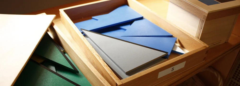 One Tree Tutorial & Enrichment