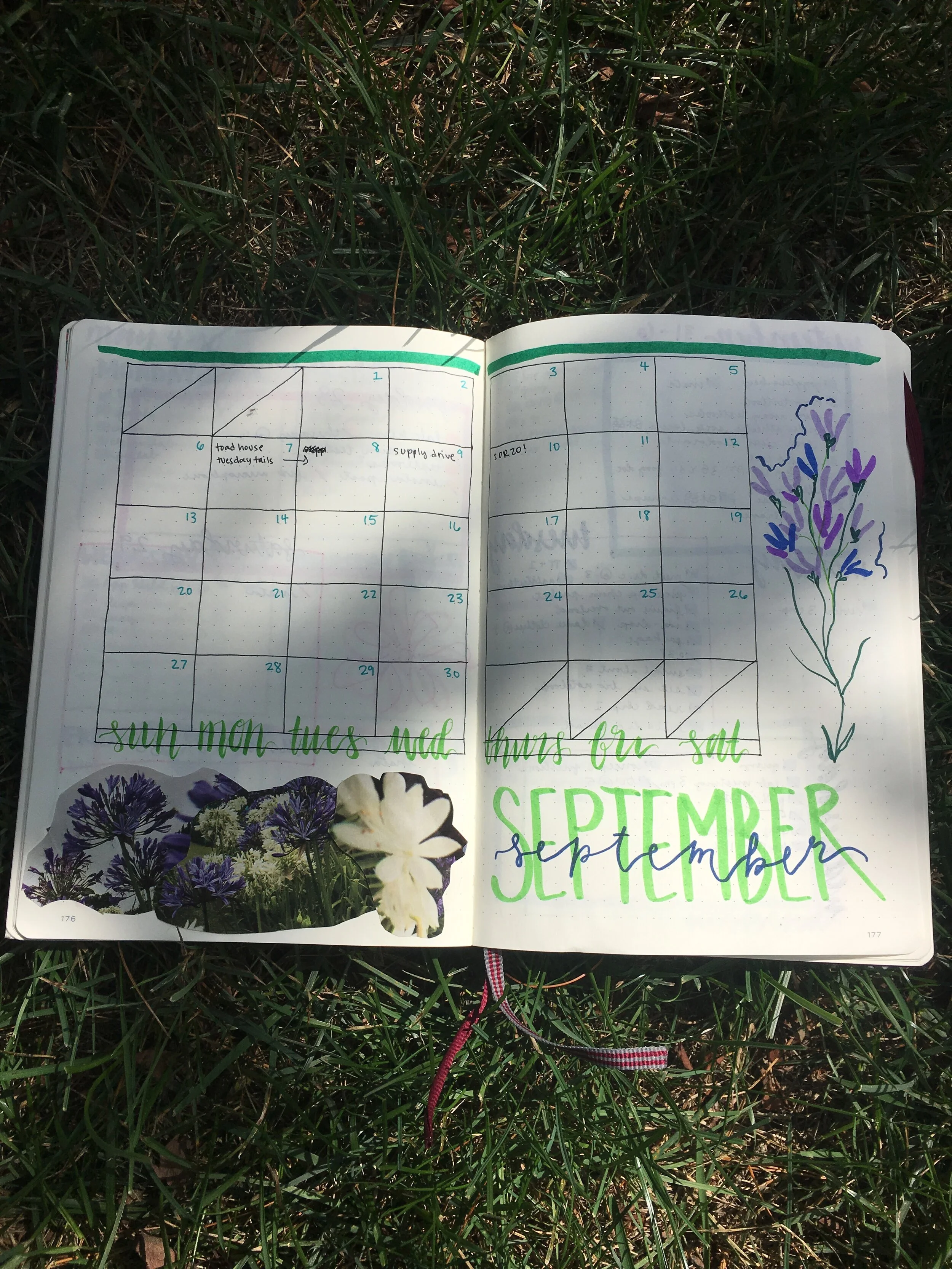 The Trash Diary: On Vassar Students’ Journals and Daring to Write ...